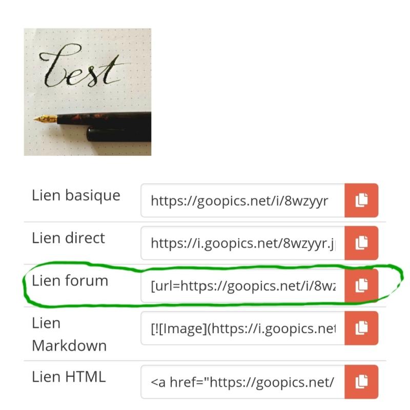 Marque de plume - www.stylo-plume.org