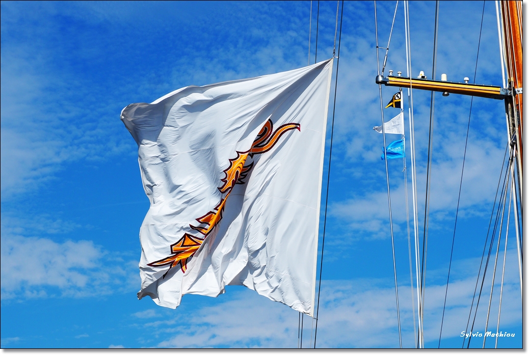 GooPics - Album d'images