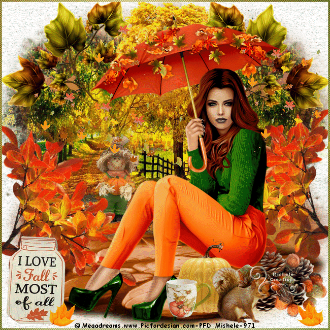 Kit Feel the fall