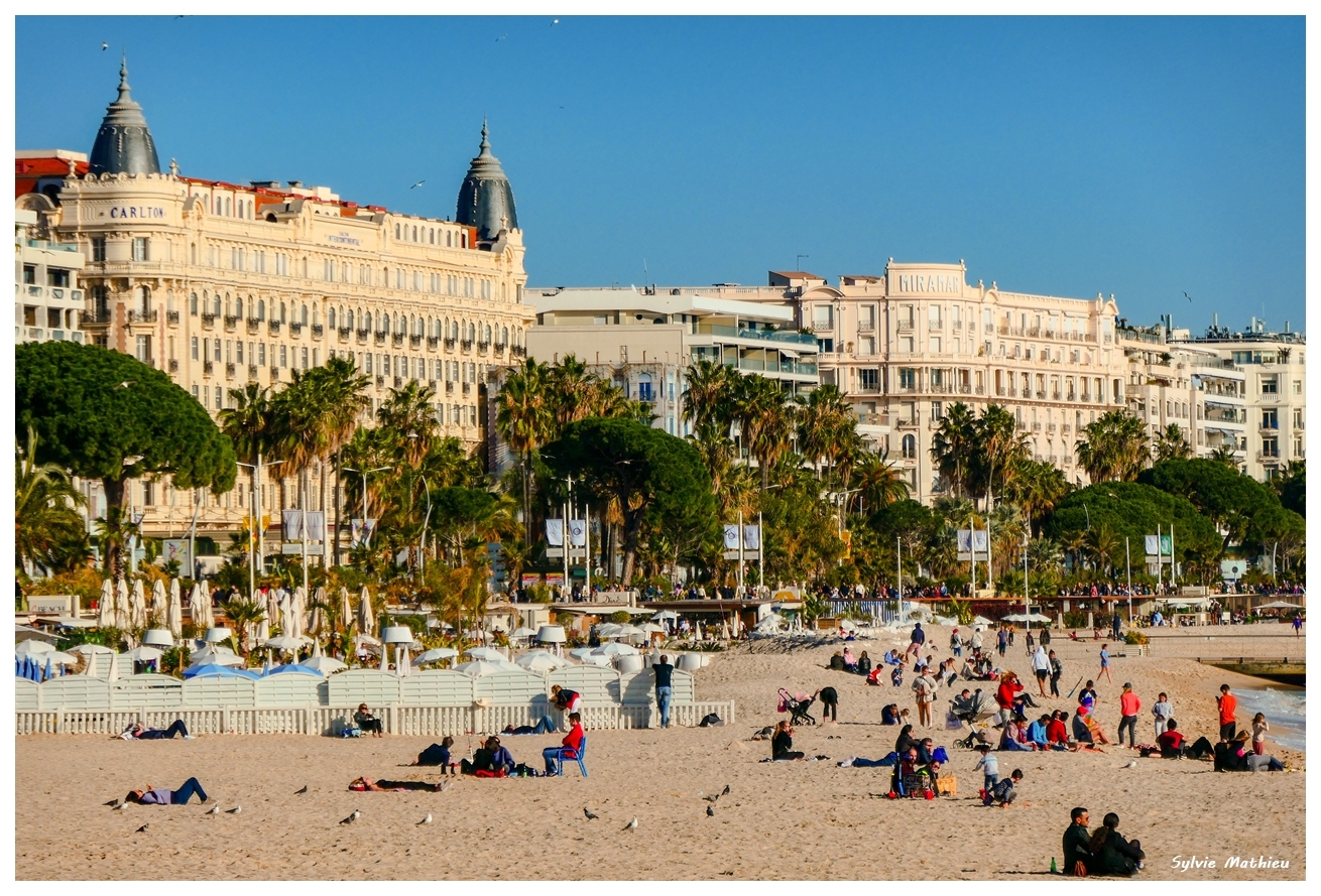 Balade à Cannes – Globe Trotteuse
