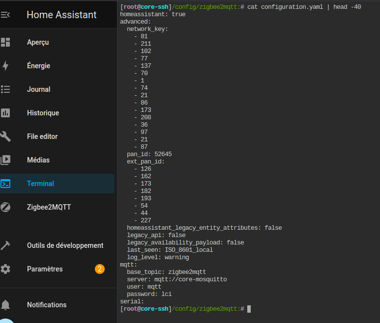 Options Mqtt Version 5 Of The Addon Not Visible In The Config File · Issue 683 8339