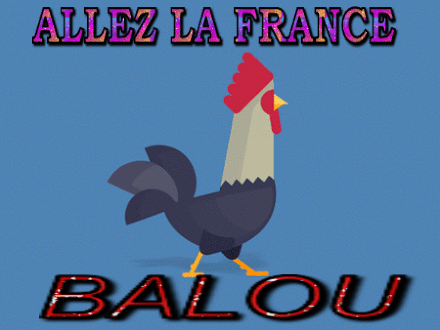 Allez la France - Photos Humour